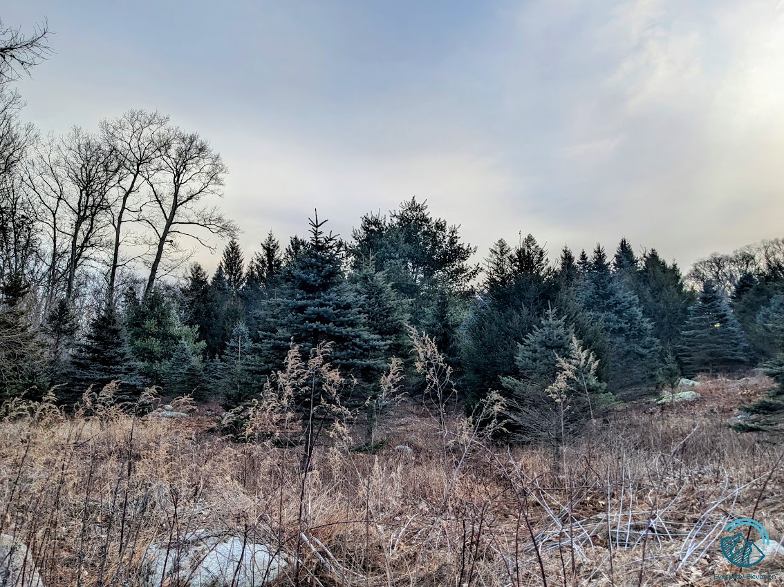 My God – Everyday Elevation