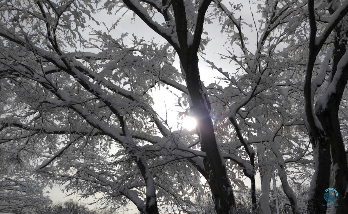 Mindful, Mighty, and Miraculous – Everyday Elevation