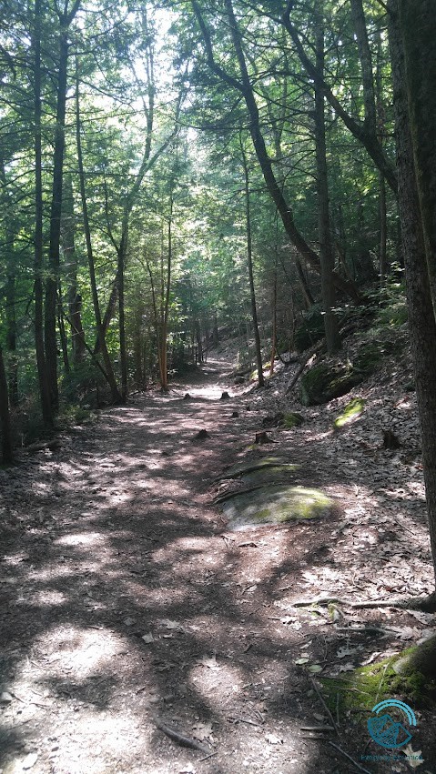 Small faith, Big God – Everyday Elevation