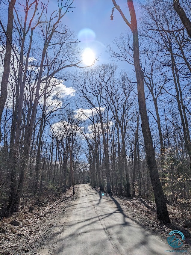 Meditate on Mercies – Everyday Elevation