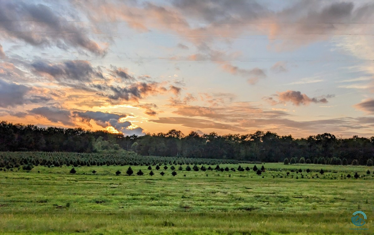 Resting not Stressing – Everyday Elevation