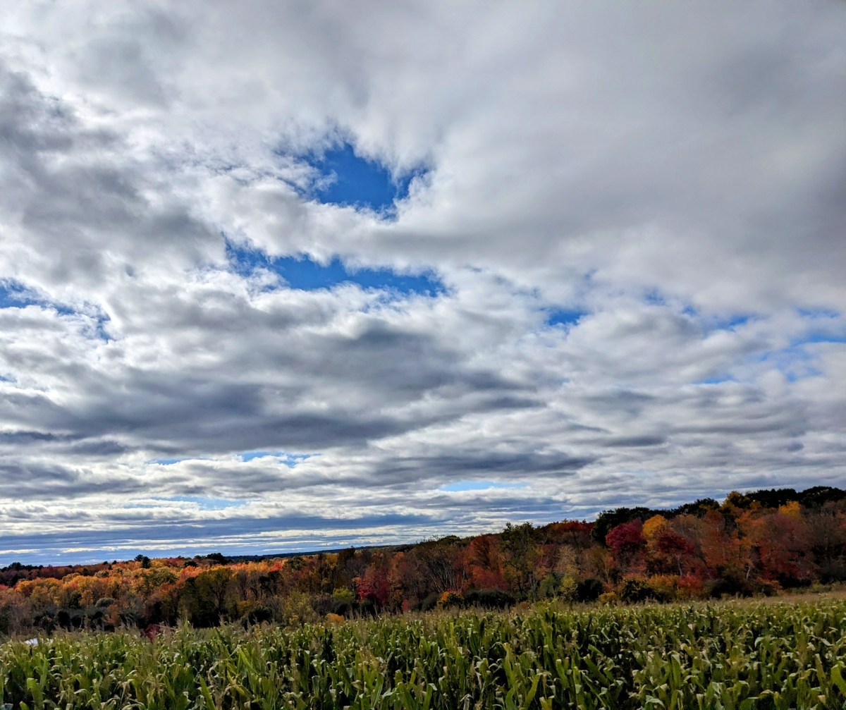 A Prayer and Plea – Everyday Elevation