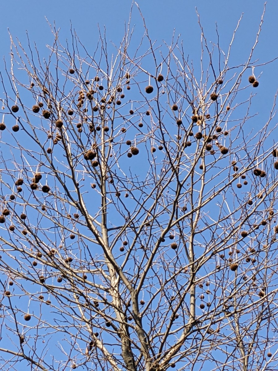 Eye on Excellence – Everyday Elevation